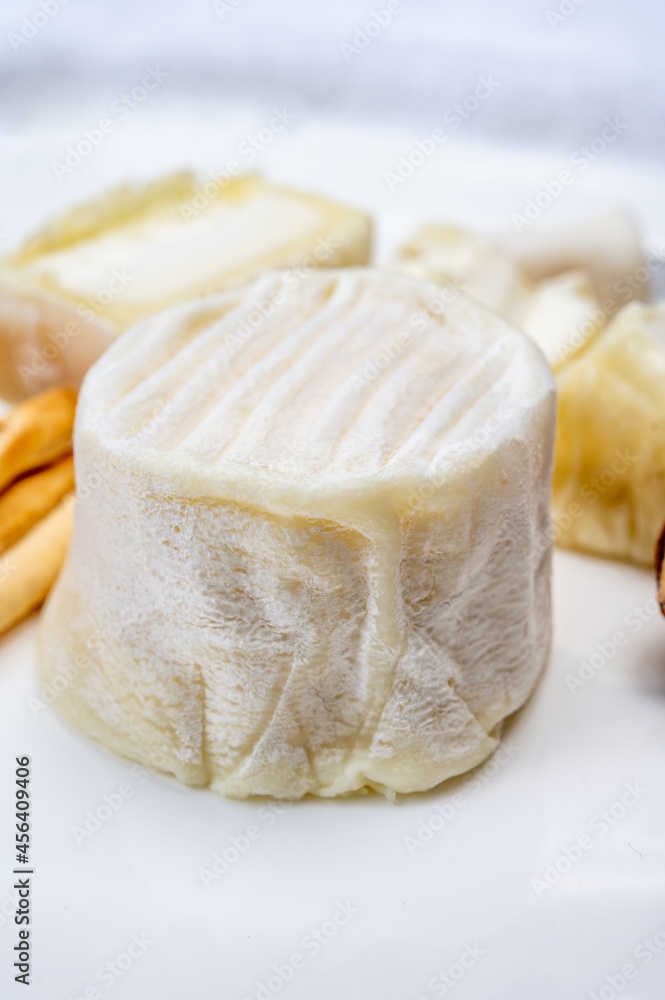 Cheese collection, soft goat French cheese with mold crottin de ...