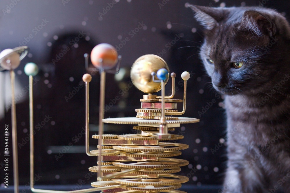 Solar System With Cats