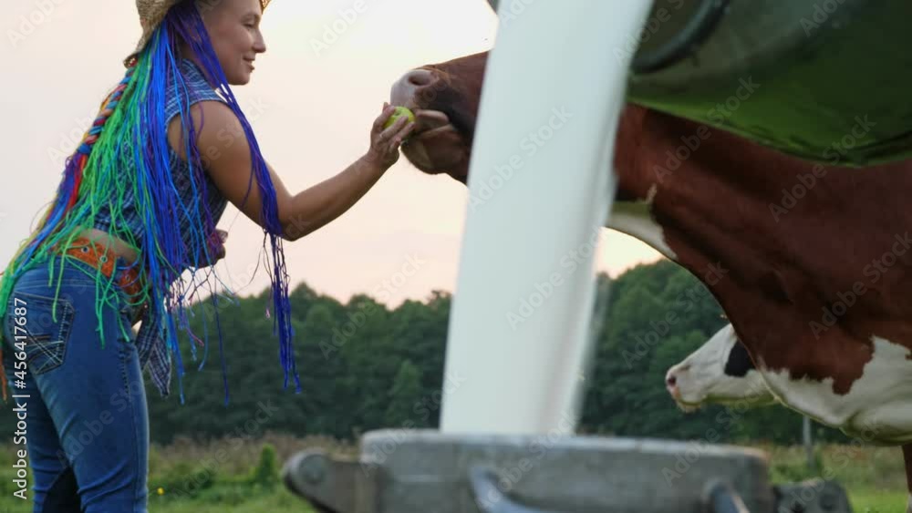 cow milk fresh. close-up. fresh milk is poured into a can, on green ...