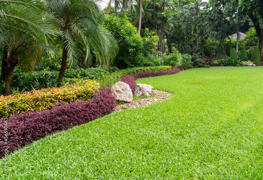Green grass smooth lawn with bush, shrubs, trees on background, Stock ...