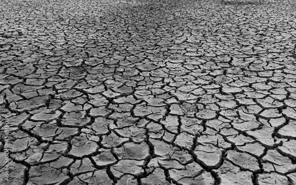 Mudflat cracked desert barren surface for natural background, layer ...