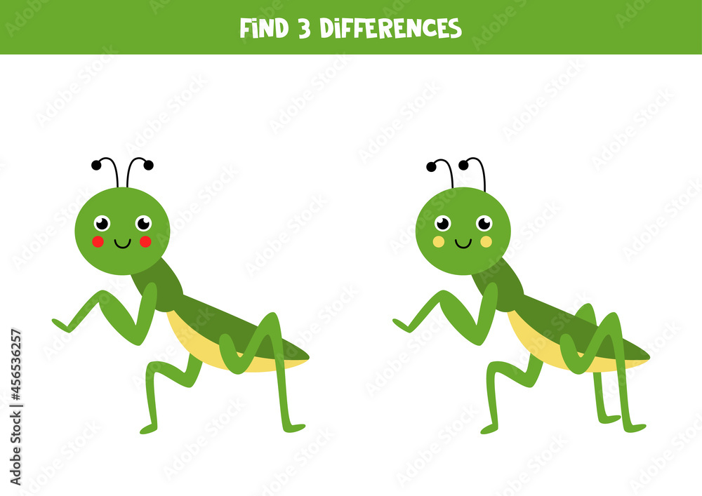 Find 3 differences between two cute praying mantises. Stock Vector ...