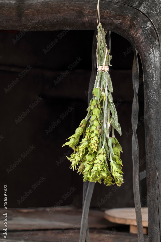 Hanging bunch of medicinal herb Sideritis Scardica or Mountain tea ...