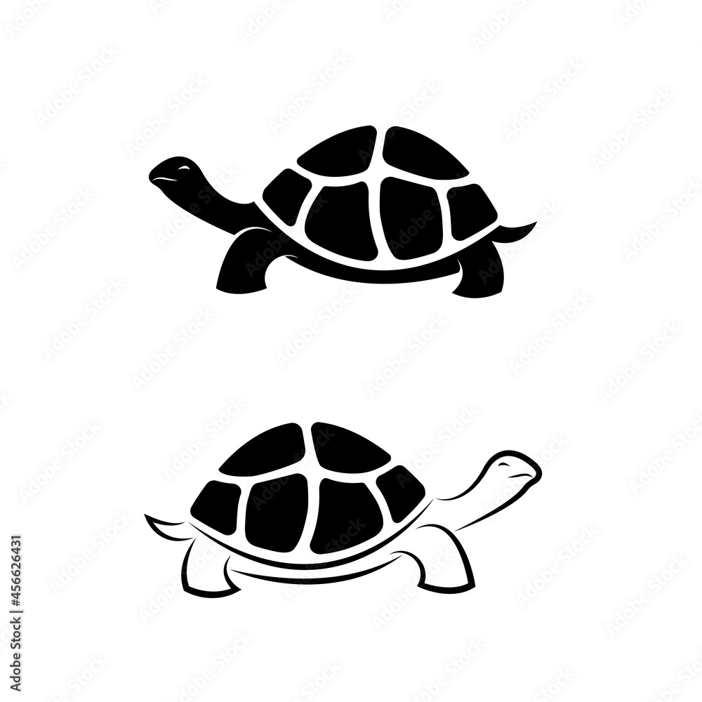 Vector of land tortoise design on white background. Easy editable ...