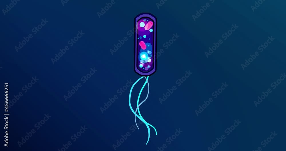 Flat animation of bacteria with flagella. protozoa, a unicellular with ...