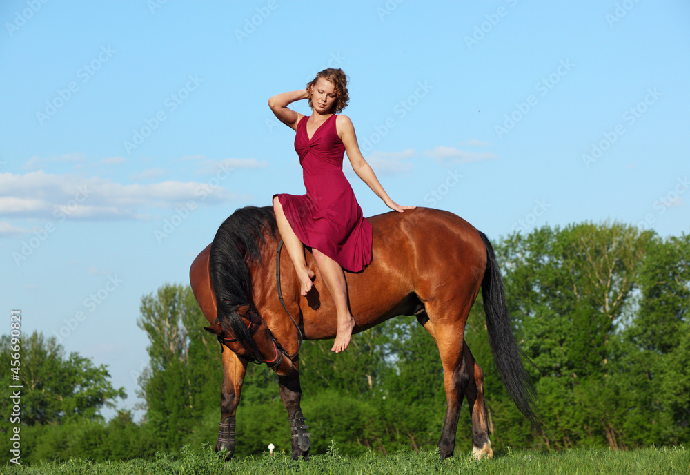 Beautiful cowgirl bareback ride her horse in woods glade at sunset ...