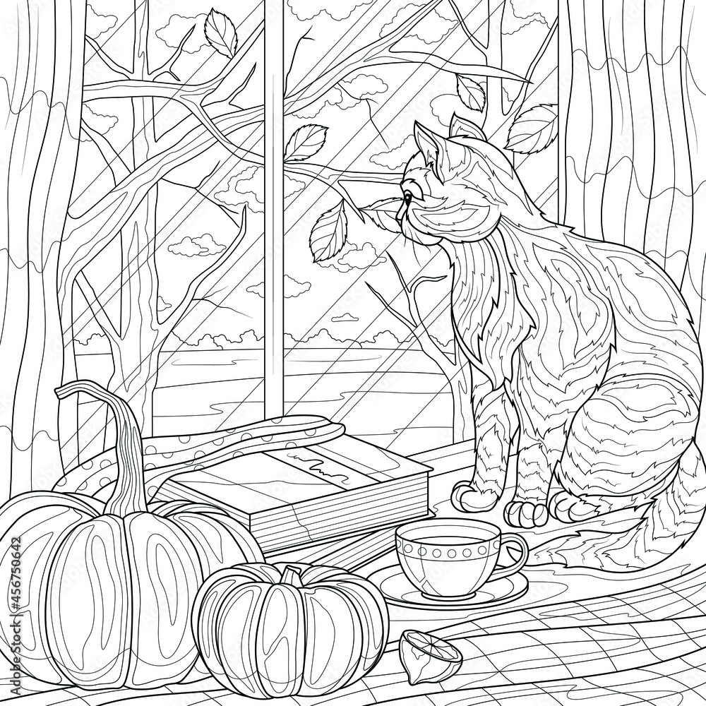 The cat sits near the pumpkin and looks out the window. Autumn ...