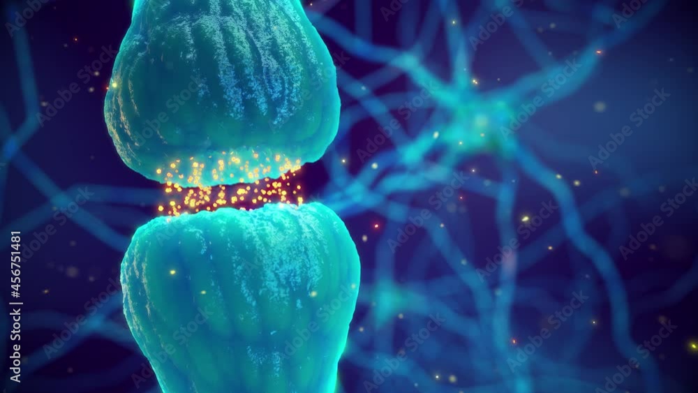 Animation of synaptic transmission - one nerve cell (neuron ...