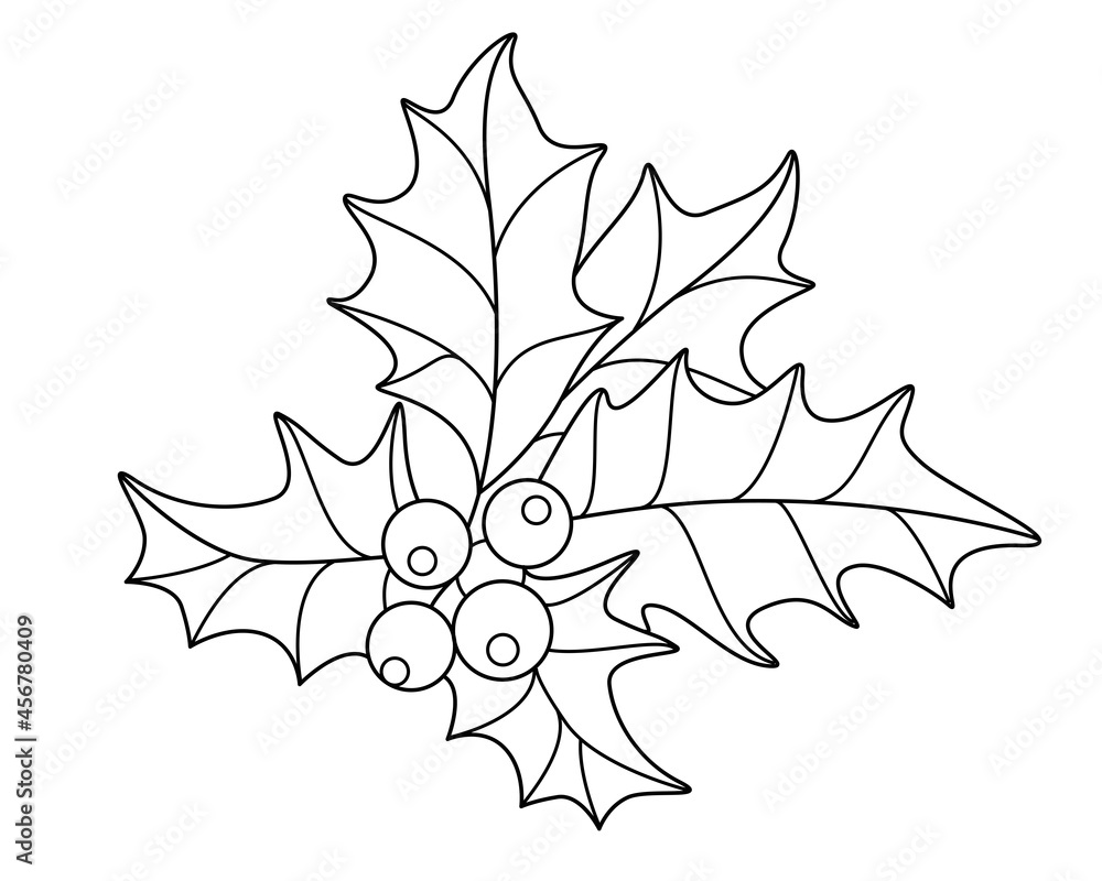 Holly leaves and berries - vector linear illustration for coloring ...
