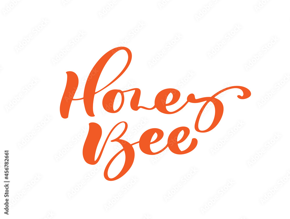 Honey Bee calligraphy vector lettering text. Bee hand lettering word in ...