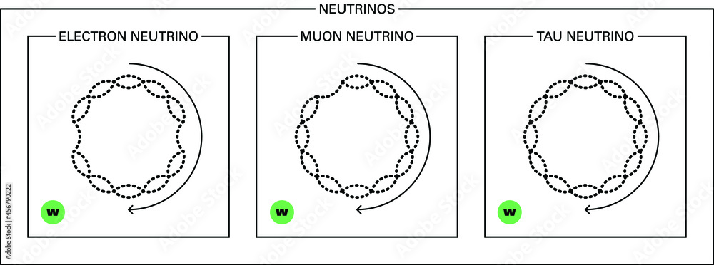 Conceptual vector illustration of the fundamental particles of standard ...