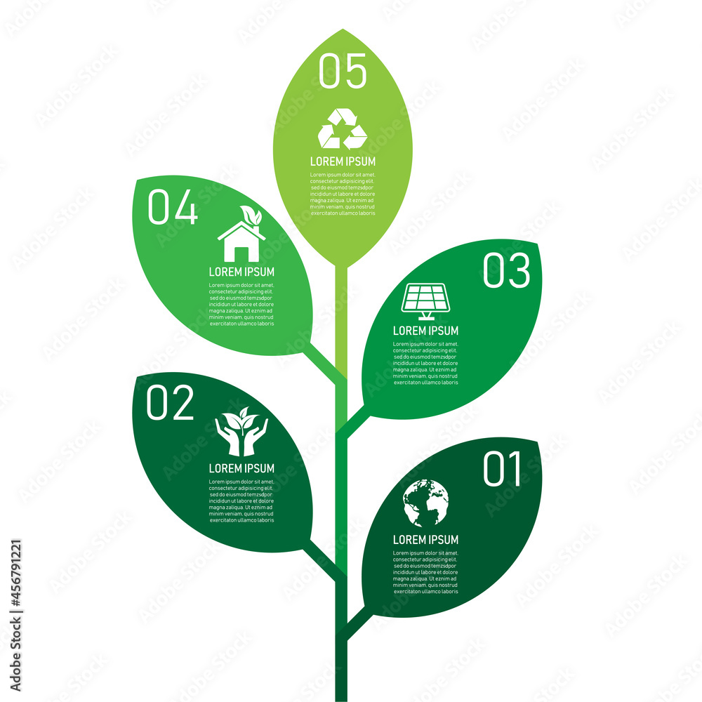 Vertical Timeline tree infographics. presentation concept with 5 ...