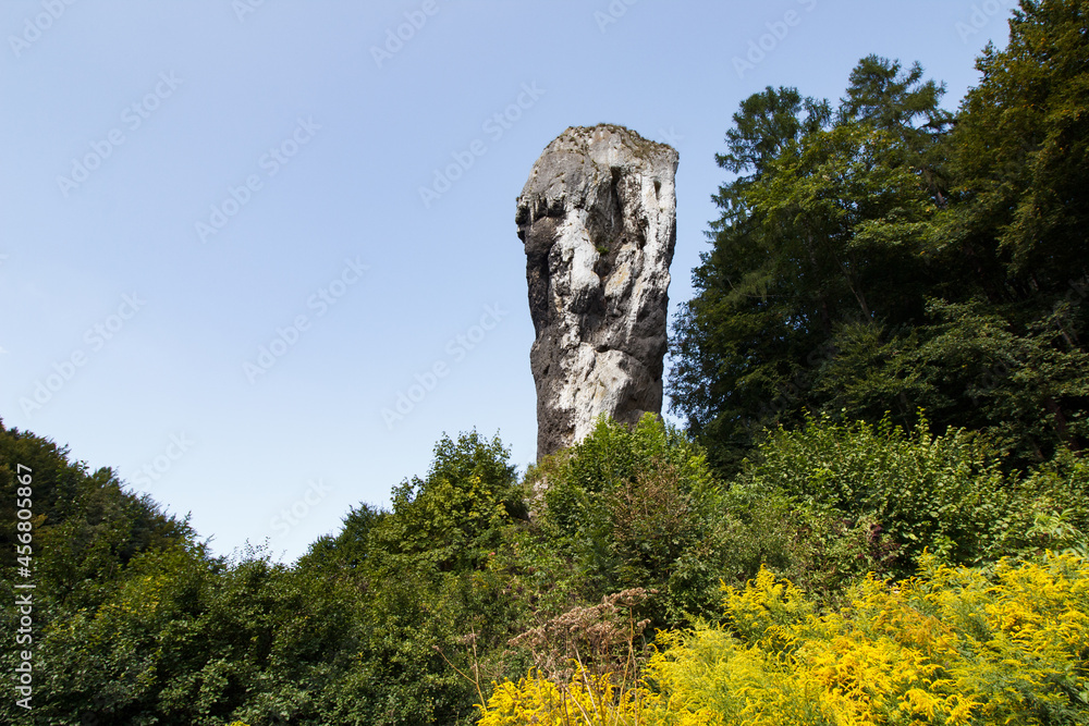 Maczuga Herkulesa - Ojcowski Park Narodowy ภาพถ่ายสต็อก | Adobe Stock