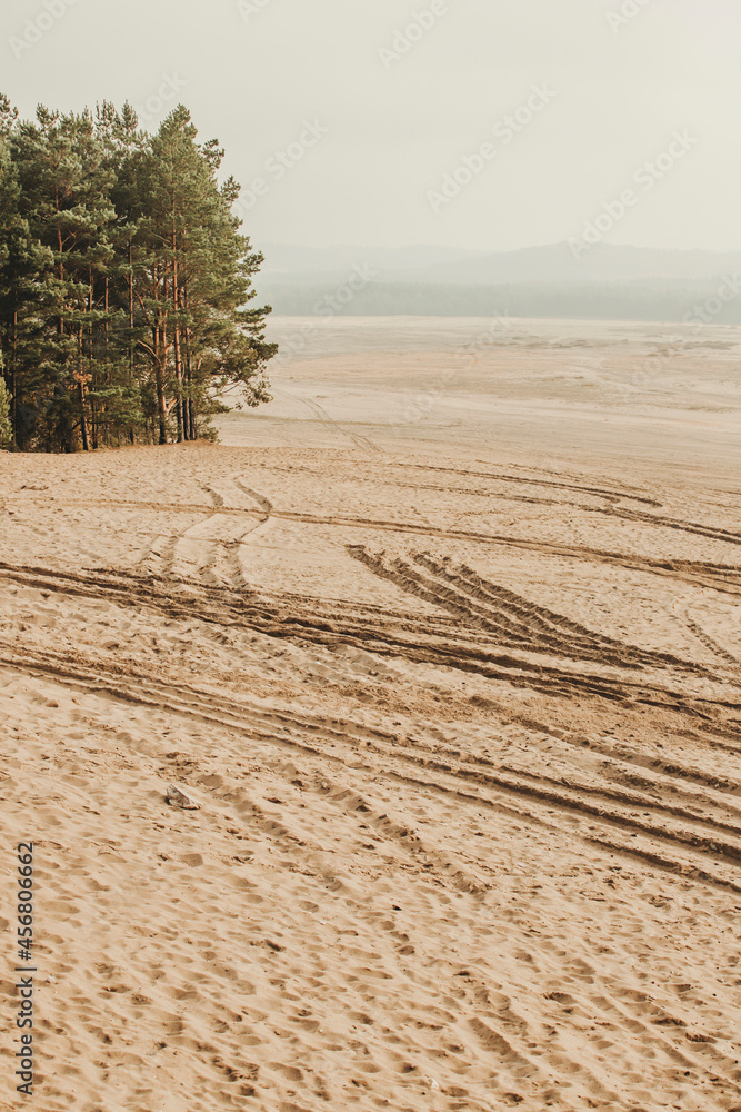 Bledow desert (pustynia bledowska) biggest sand desert in Silesia ...