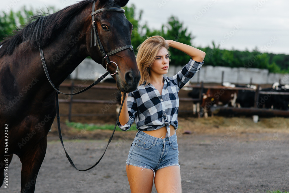A young pretty girl rider poses near a thoroughbred stallion on a ranch ...