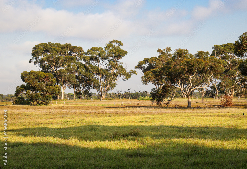 morning scene in rural australian landscape Stock Photo | Adobe Stock