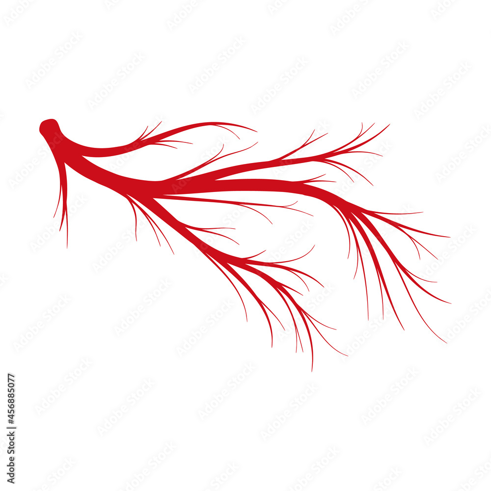 Vein of human vector cartoon icon. Vector illustration artery of blood ...