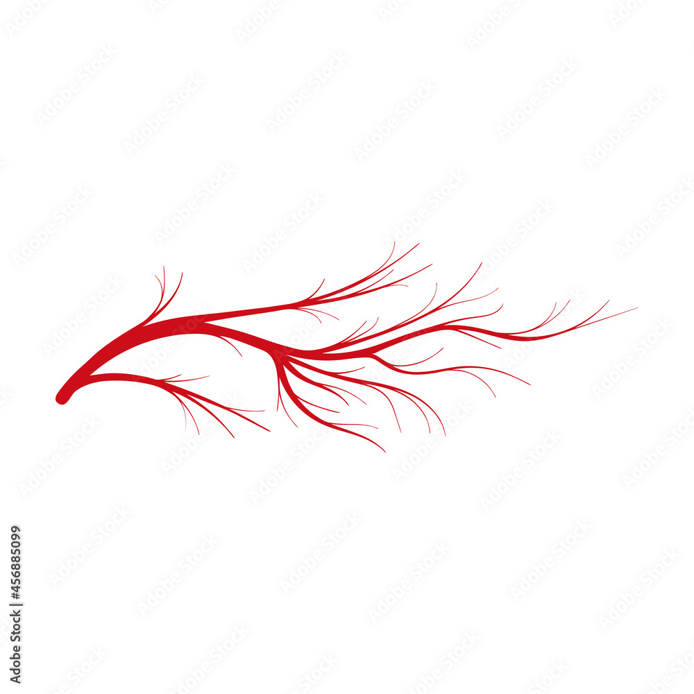 Vein of human vector cartoon icon. Vector illustration artery of blood ...