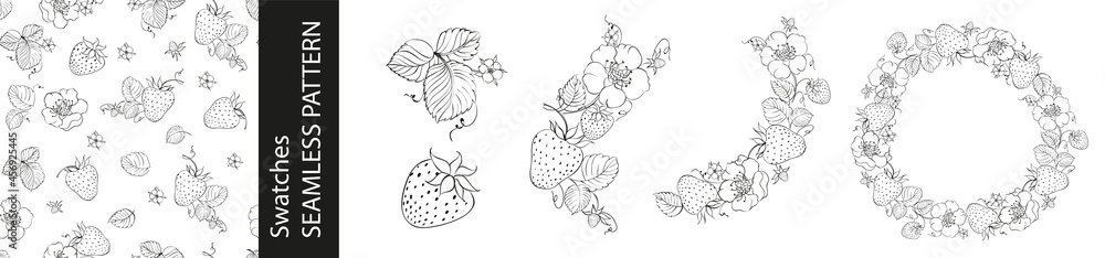 Set of different branches of strawberry berries, pattern and circle ...