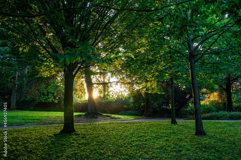 The Knoll, a small park in Hayes, Kent, UK. Trees in The Knoll park ...