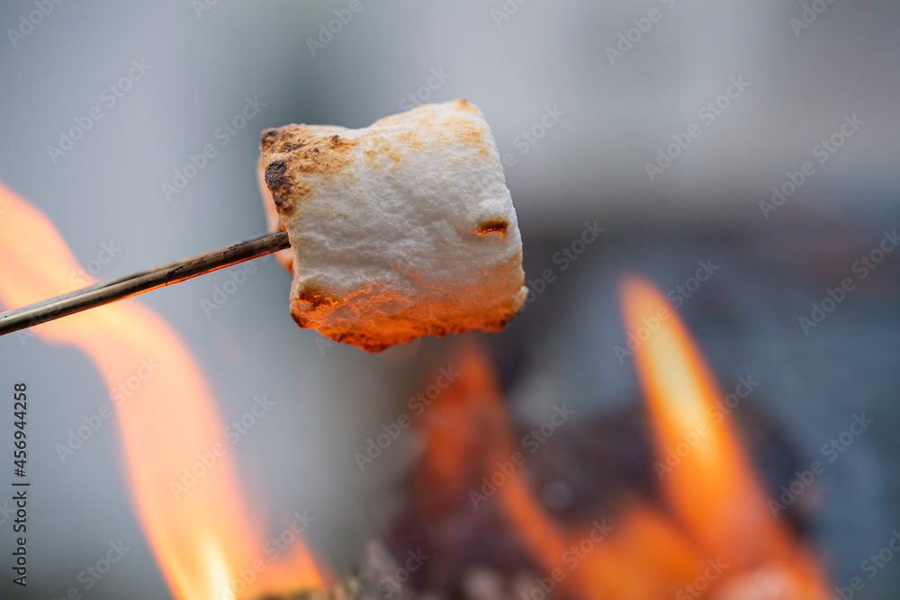 Roasting the marshmallow Stock Photo | Adobe Stock
