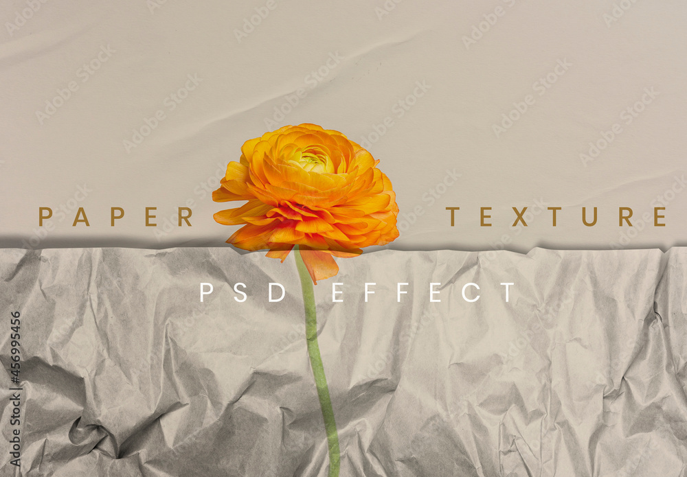 Crumpled Paper Texture with Effect Stock Template | Adobe Stock