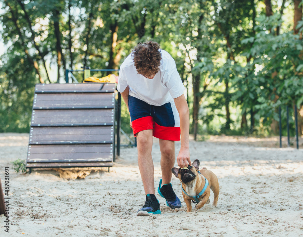 The boy owner of french bulldog trains the dog in the park. Dog ...
