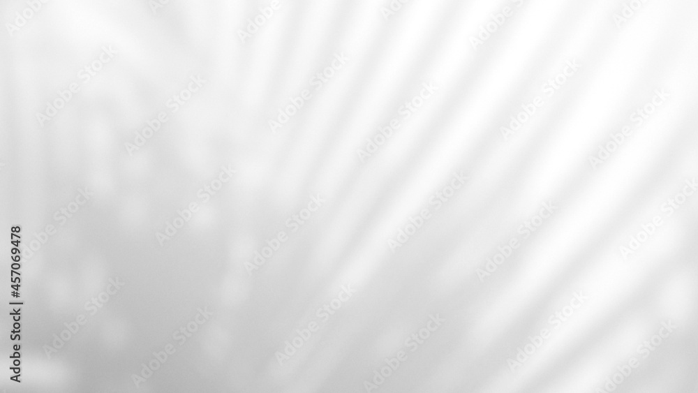 Leaves natural shadow overlay on white texture background, for overlay ...