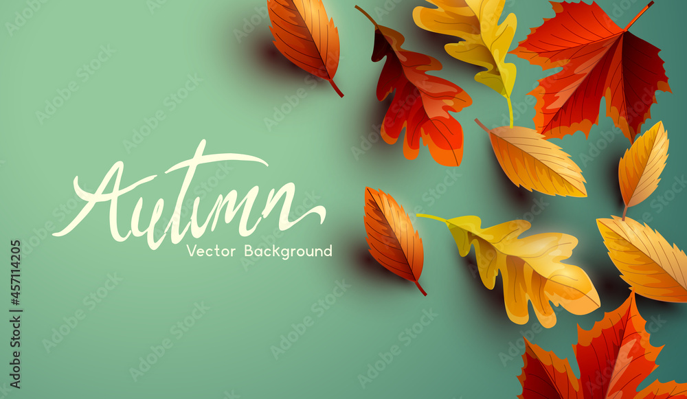 Autumn fall seasonal background design with golden, orange and red ...