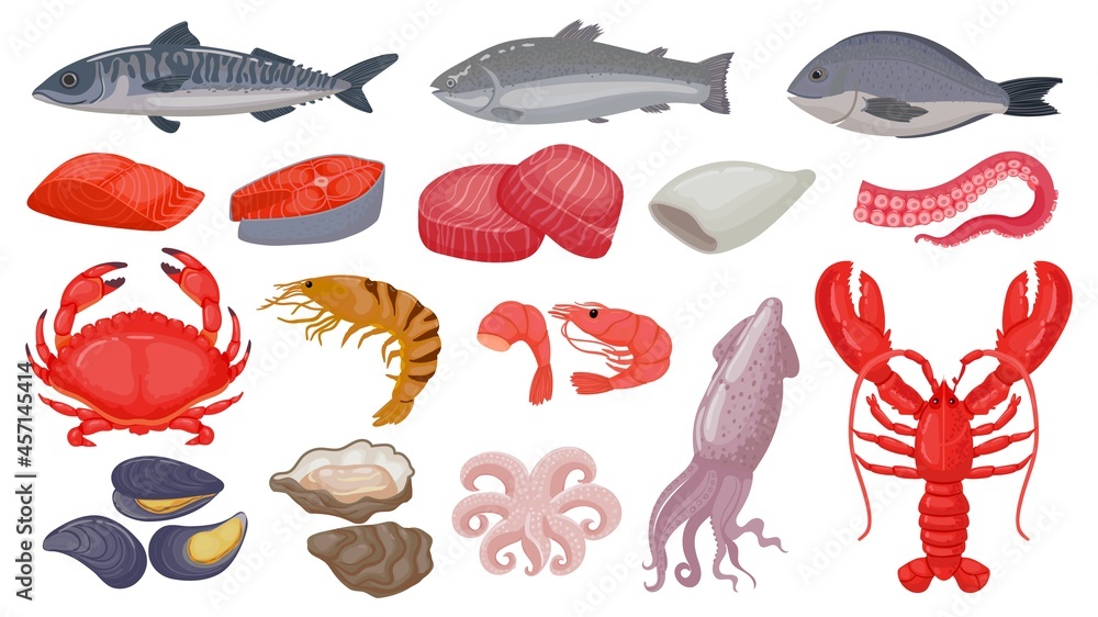 Cartoon raw seafood, fish, fresh salmon, lobster and squid. Ocean ...