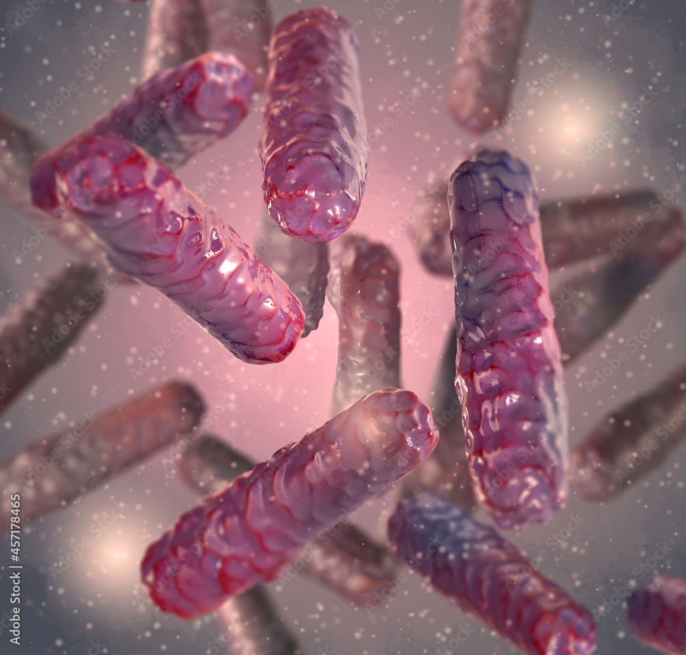 Medical background, Shigella gram-negative immobile rod-shaped bacteria ...