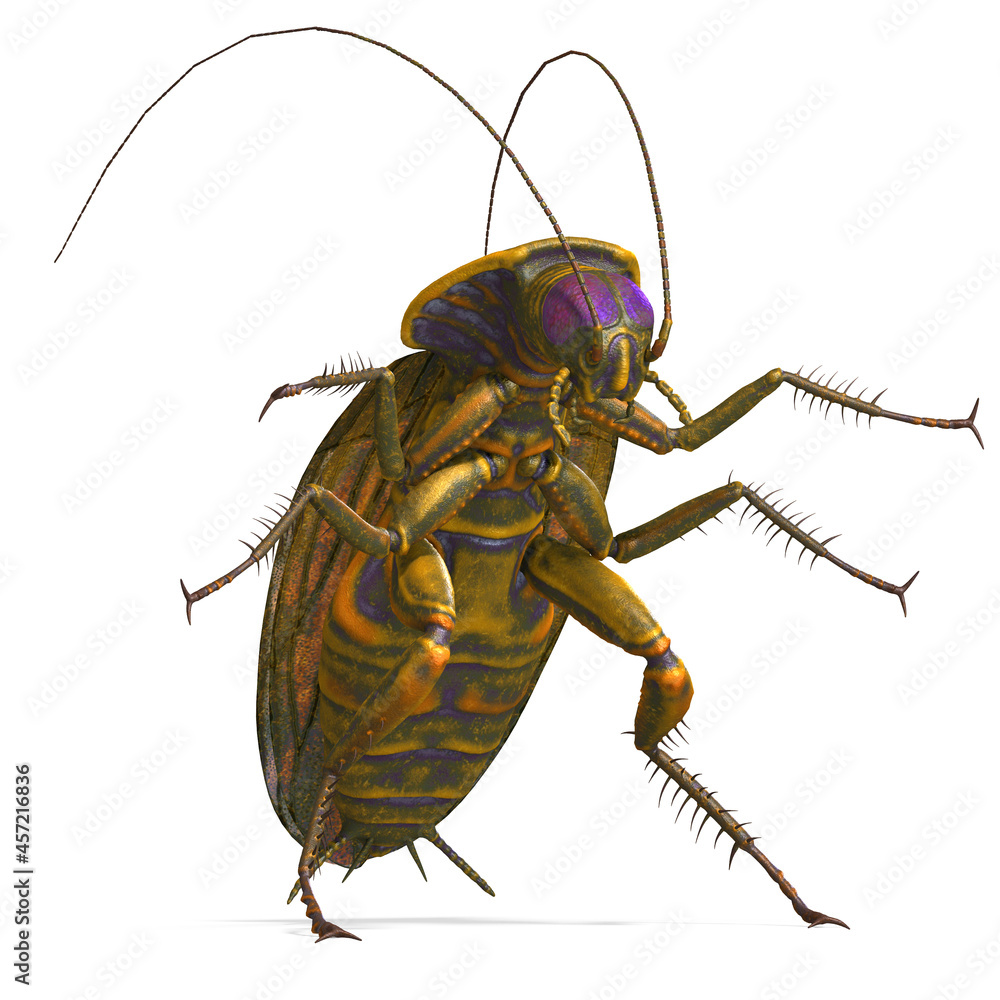 3D-illustration of a creepy cartoon cockroach. isolated rendering ...