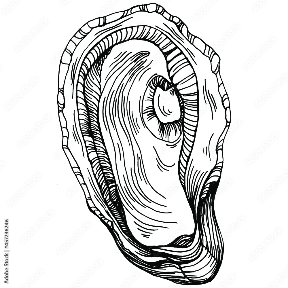 Oysters vector with engraving style illustration of logo or emblem for ...
