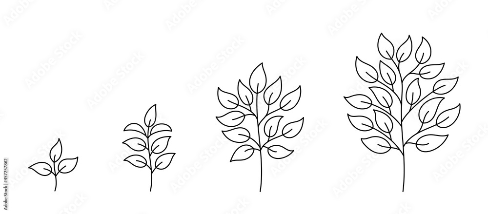 Tree growth stages. Seedling development stage. Animation progression ...