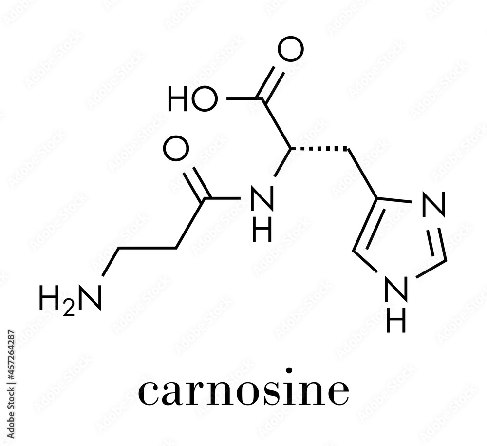 Carnosine molecule. Has antioxidant properties; commonly used in food ...
