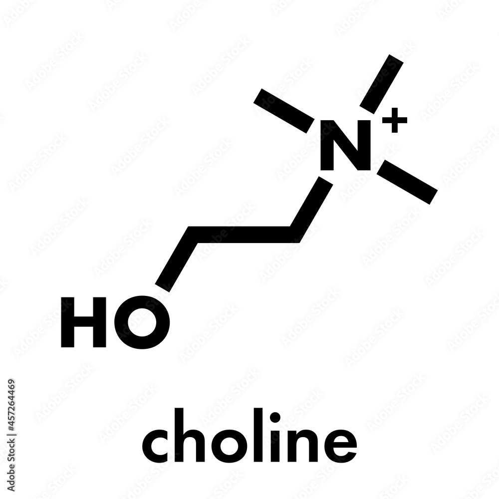 Choline essential nutrient molecule. Skeletal formula. Stock Vector ...