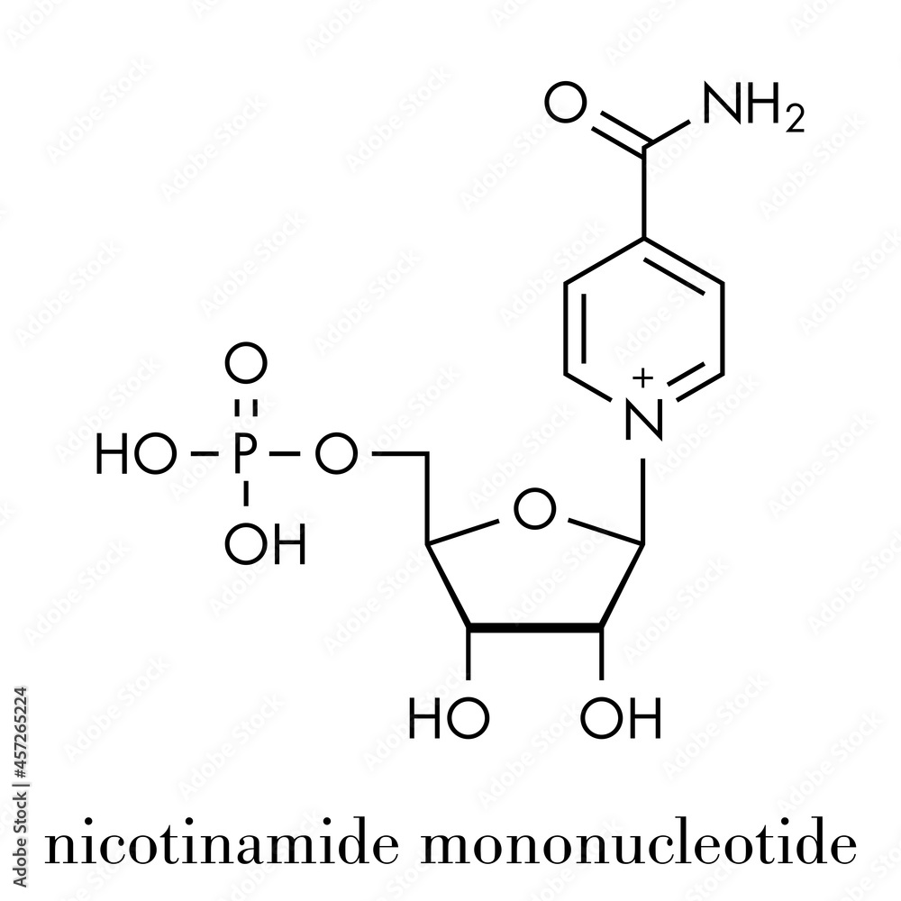 Nicotinamide mononucleotide molecule. Precursor of NAD+. Skeletal ...