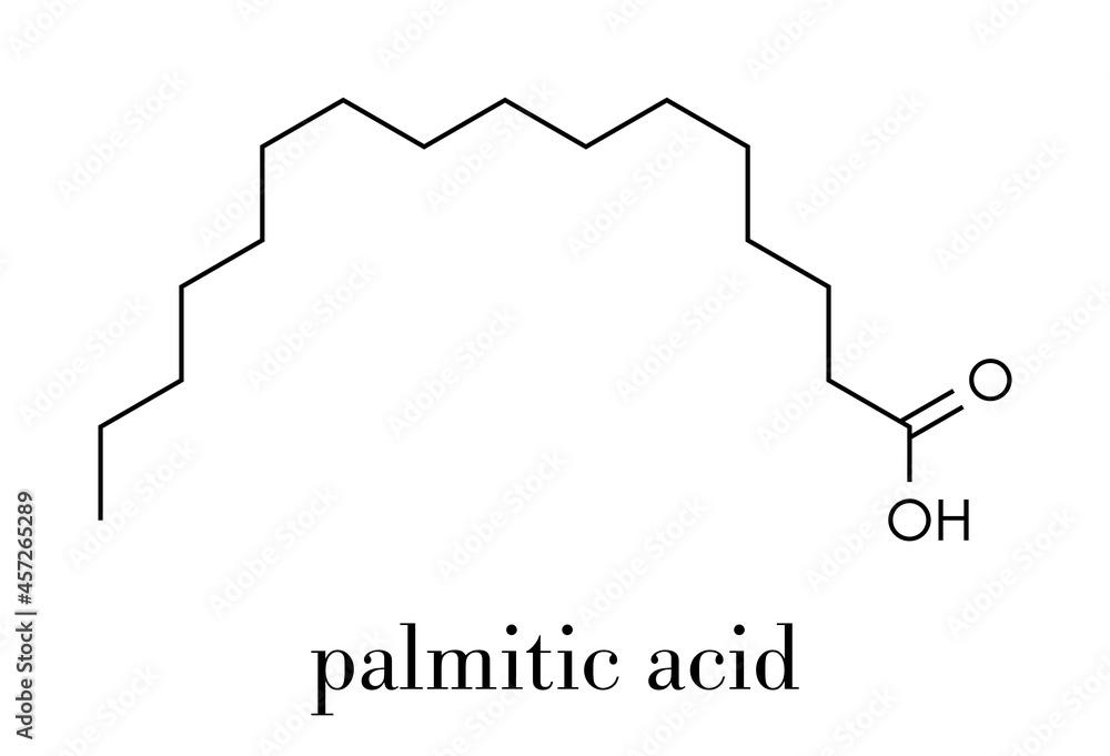 Palmitic (hexadecanoic) acid saturated fatty acid molecule. Skeletal ...