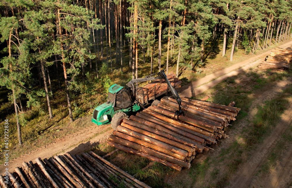 Crane forwarder machine during clearing of forested land. Wheeled ...