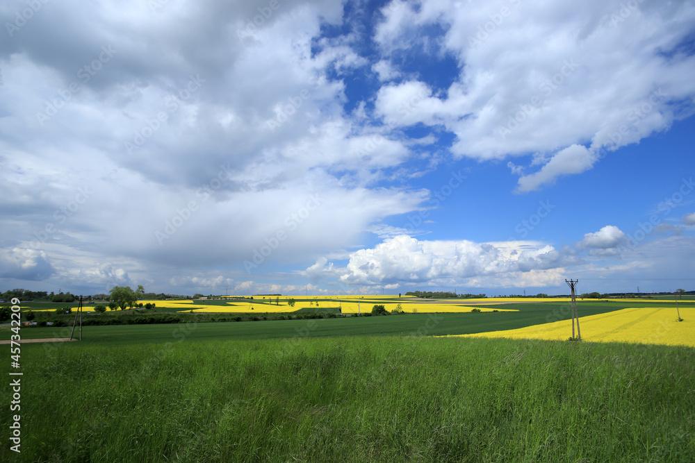 Sleza Landscape Park at the foot of the Sleza Mountain, in south ...