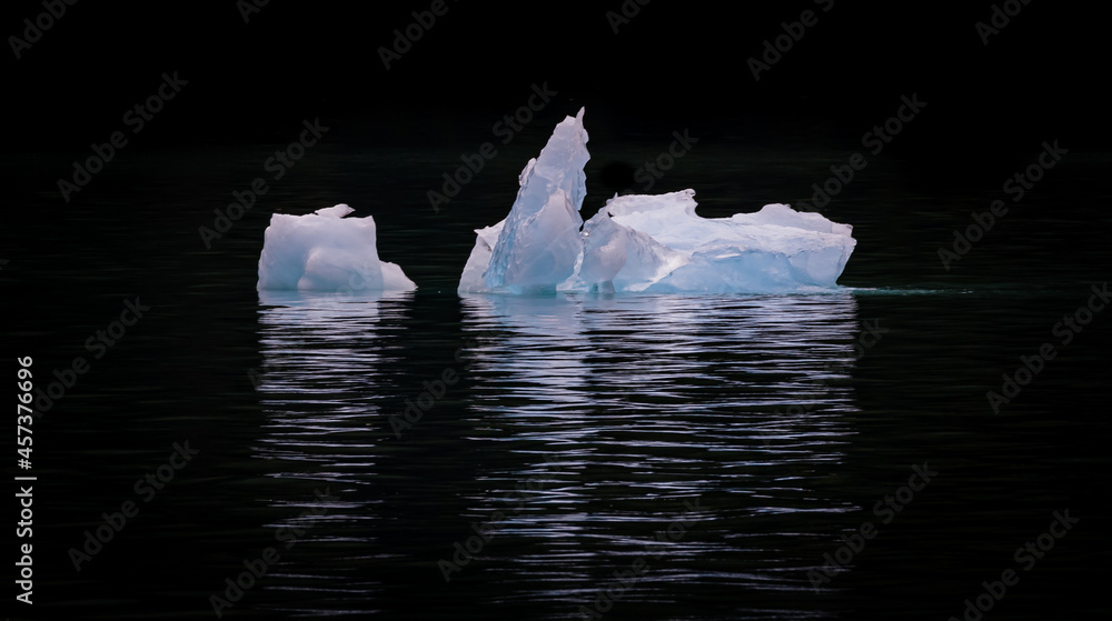 Beautiful ice sculptures float in Glacier Bay Stock Photo | Adobe Stock