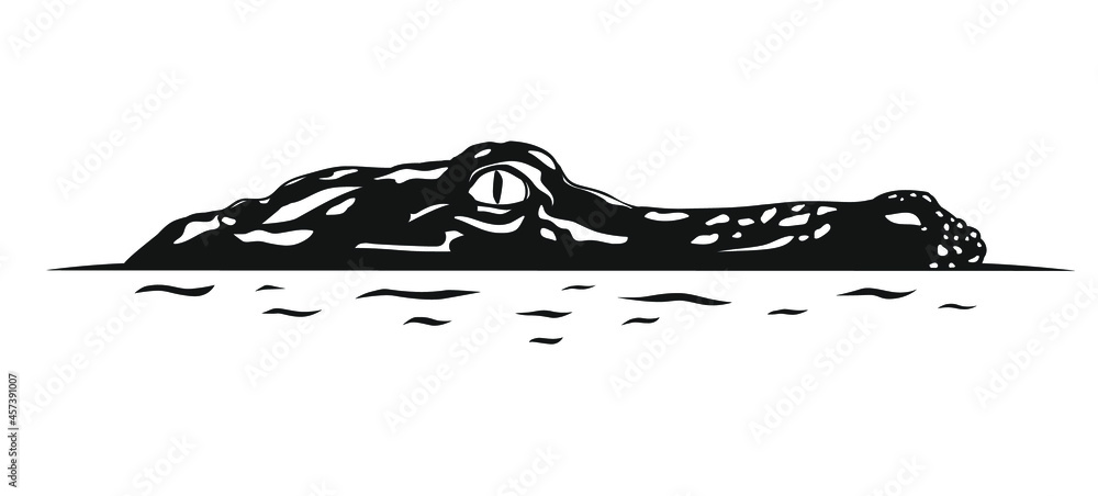 Alligator isolated on white. Vector illustration. Stock Vector | Adobe ...