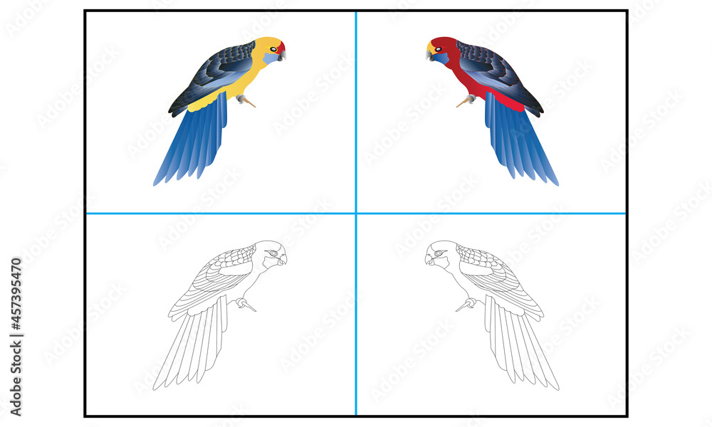 Rosella and Crimson Rosella Birds Coloring Pages Stock Vector | Adobe Stock
