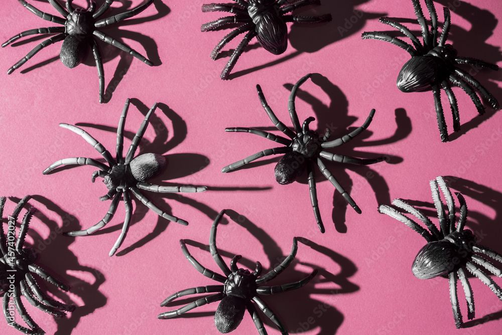 Giant scary black spiders crawling on trendy pink background. Casting ...