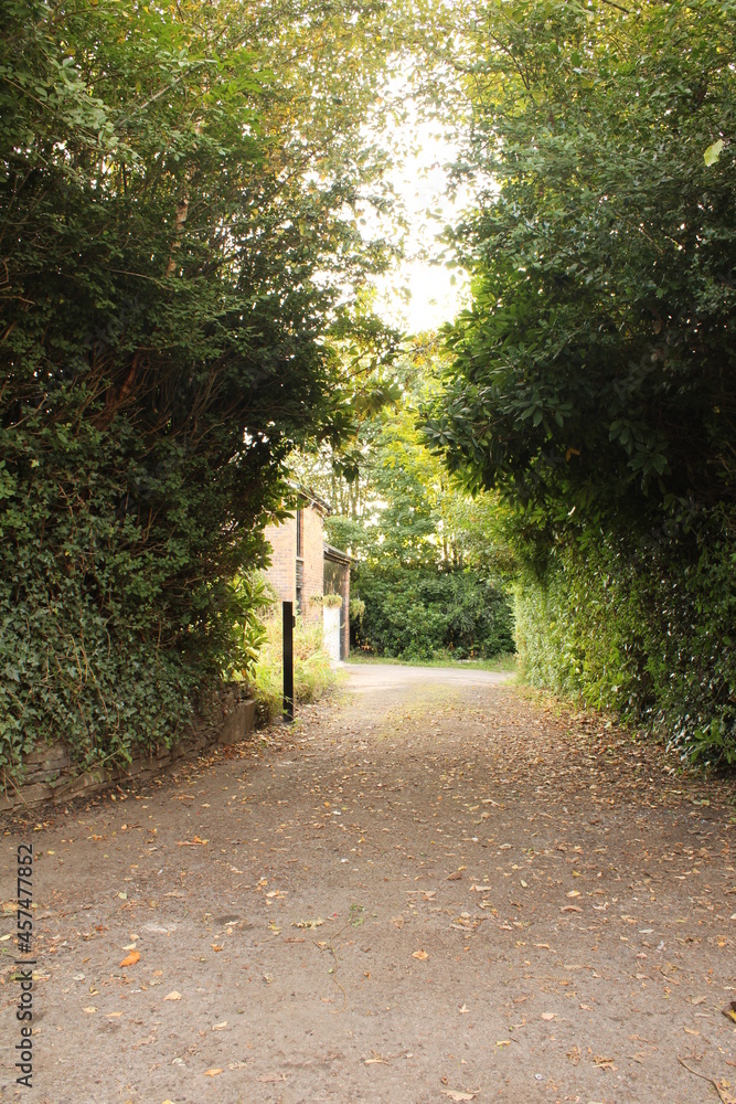 Long rural driveway with trees either side framing the picture in ...