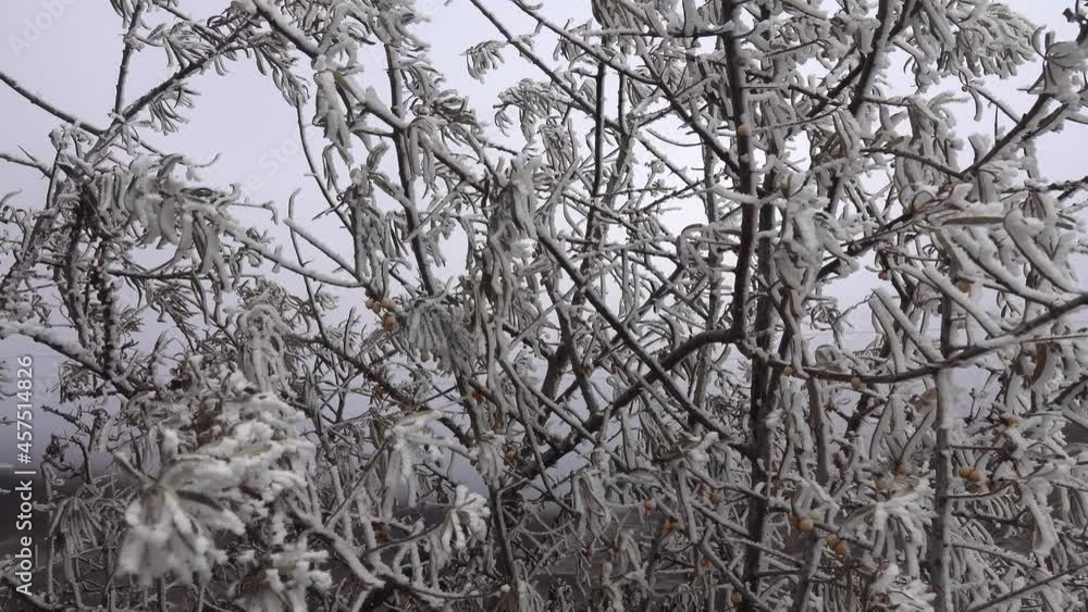 Vidéo Stock Earth watching, time before winter. Winter has descended ...