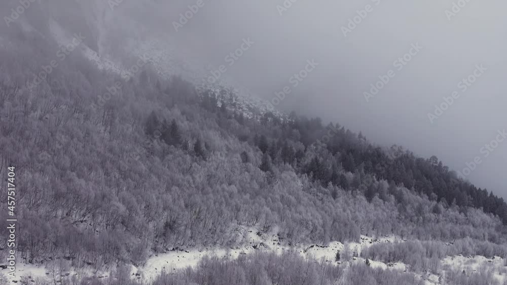 Vidéo Stock Earth watching, time before winter. Winter has descended ...