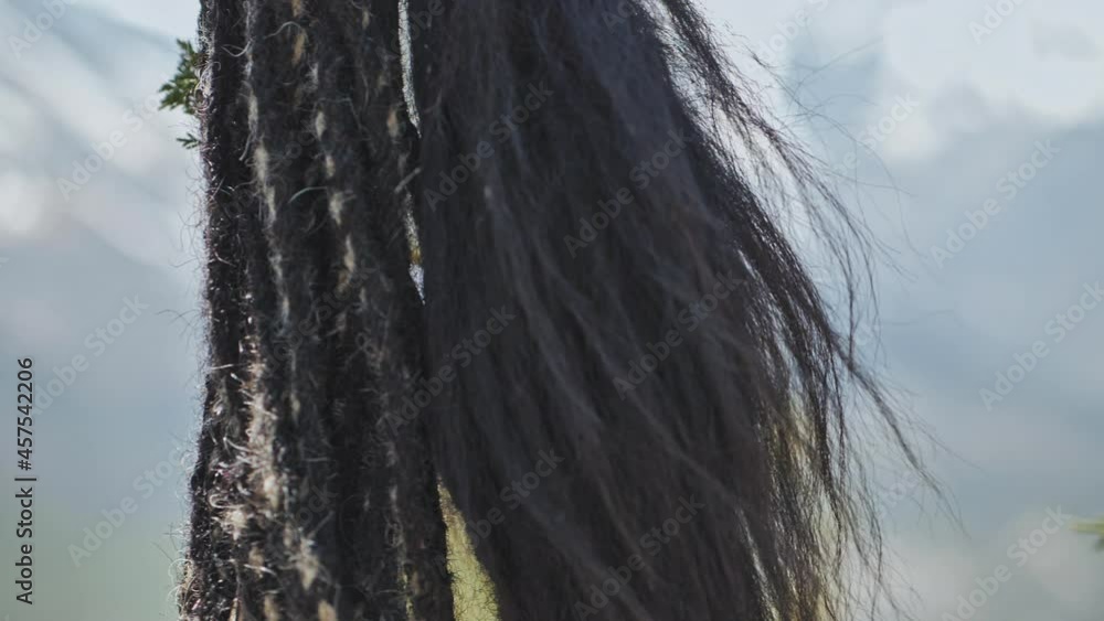 Rope made of yak hair, black yak tail hang on pole, symbol of wealth ...