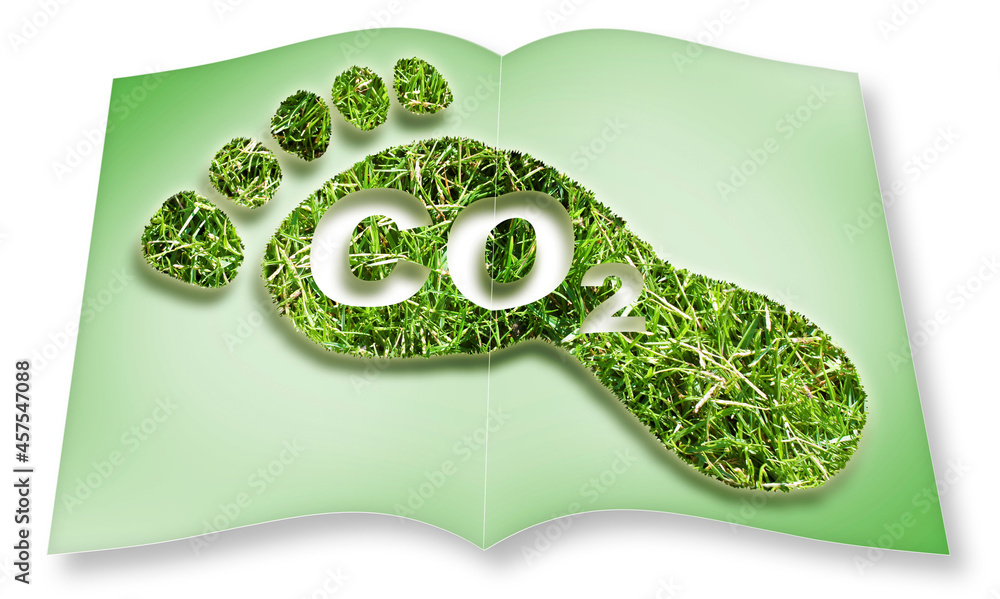 Carbon footprint concept image with CO2 text against footprint in grass ...