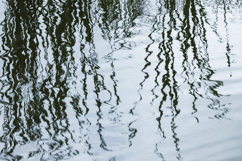 Rippled water surface with reflections of coastal grass Stock Photo ...